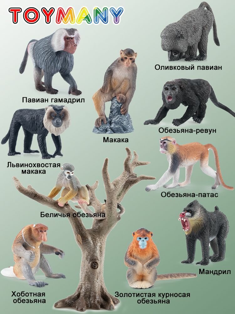 Toymany набор фигурок животных, Обезьянка, 11шт, коллекционные и реалистичные