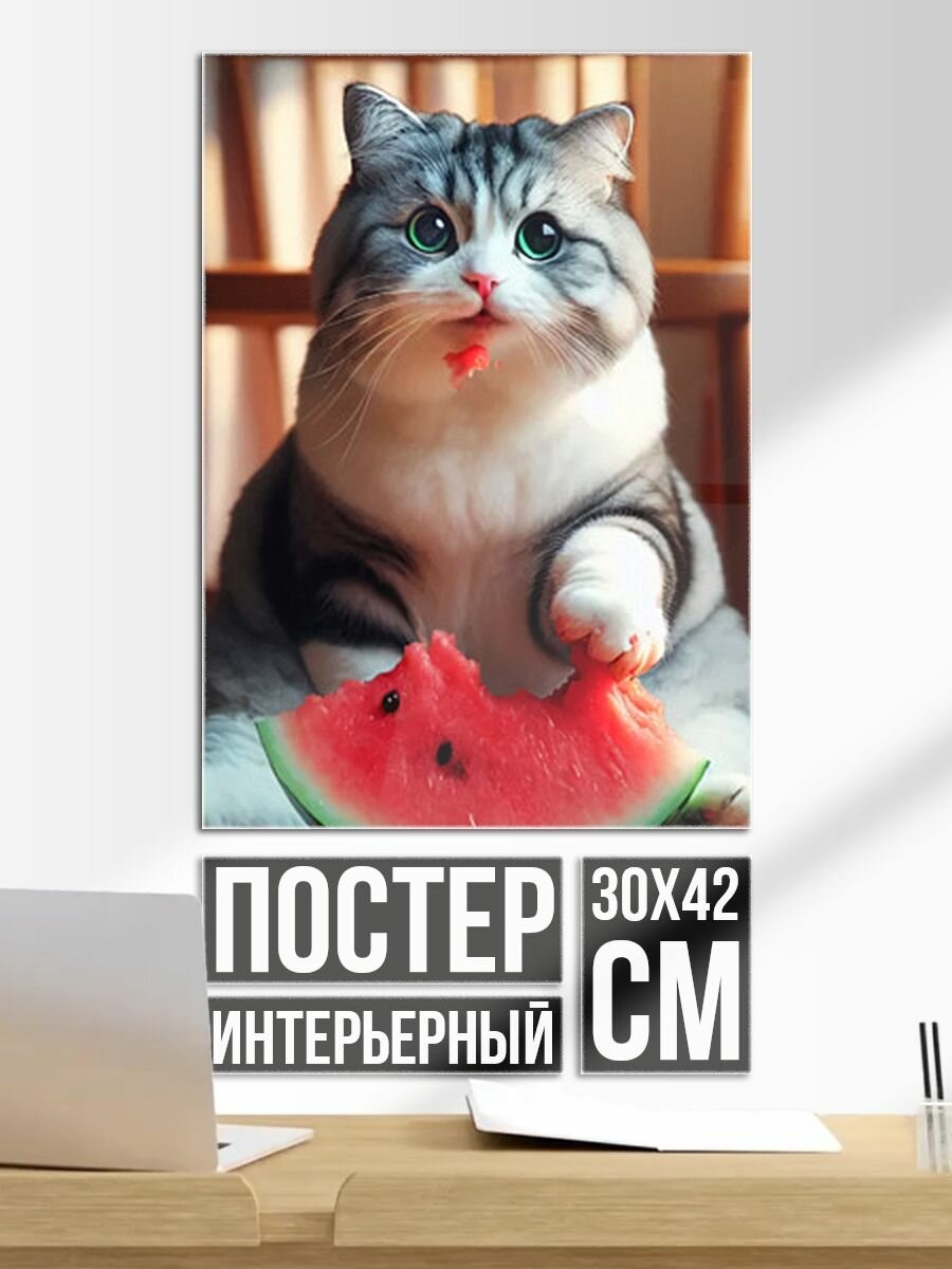 Постер на стену Кот ест арбуз