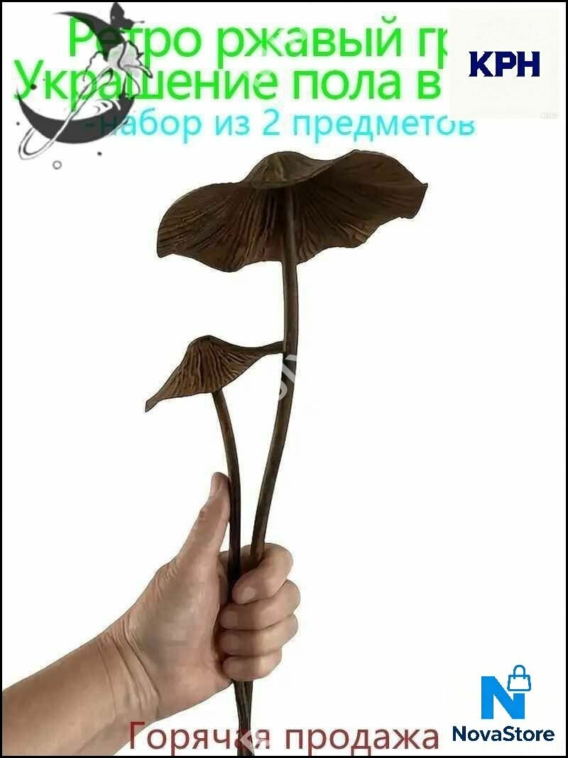 Ржавый гриб 001 эксклюзивный