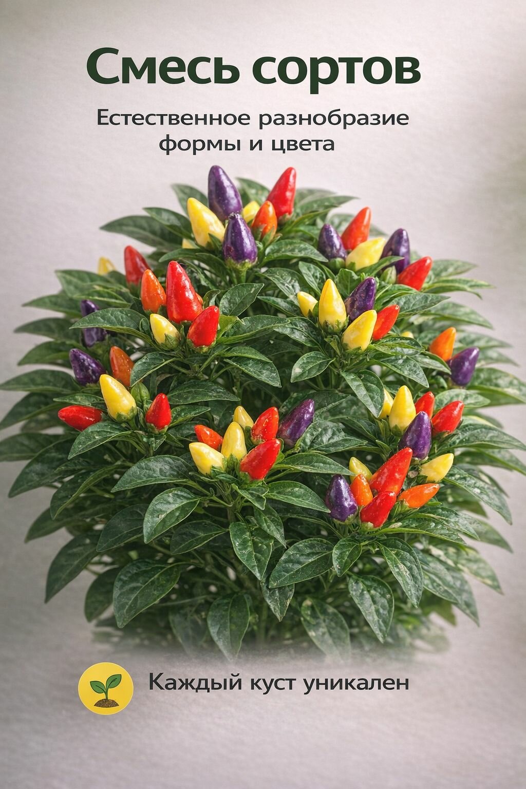 3 шт Перец кустарниковый Огонёк, семена, смесь сортов, декоративный острый