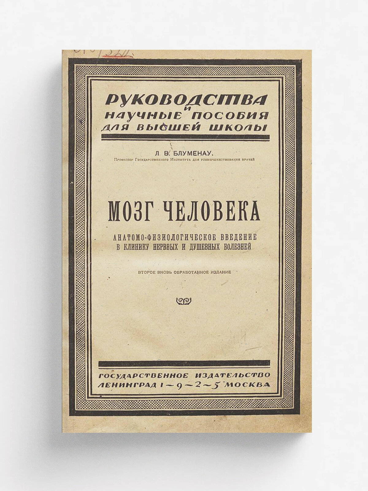 Мозг человека