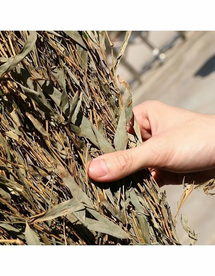 Традиционная бамбуковая метла ручной работы для улицы, 1.75 кг