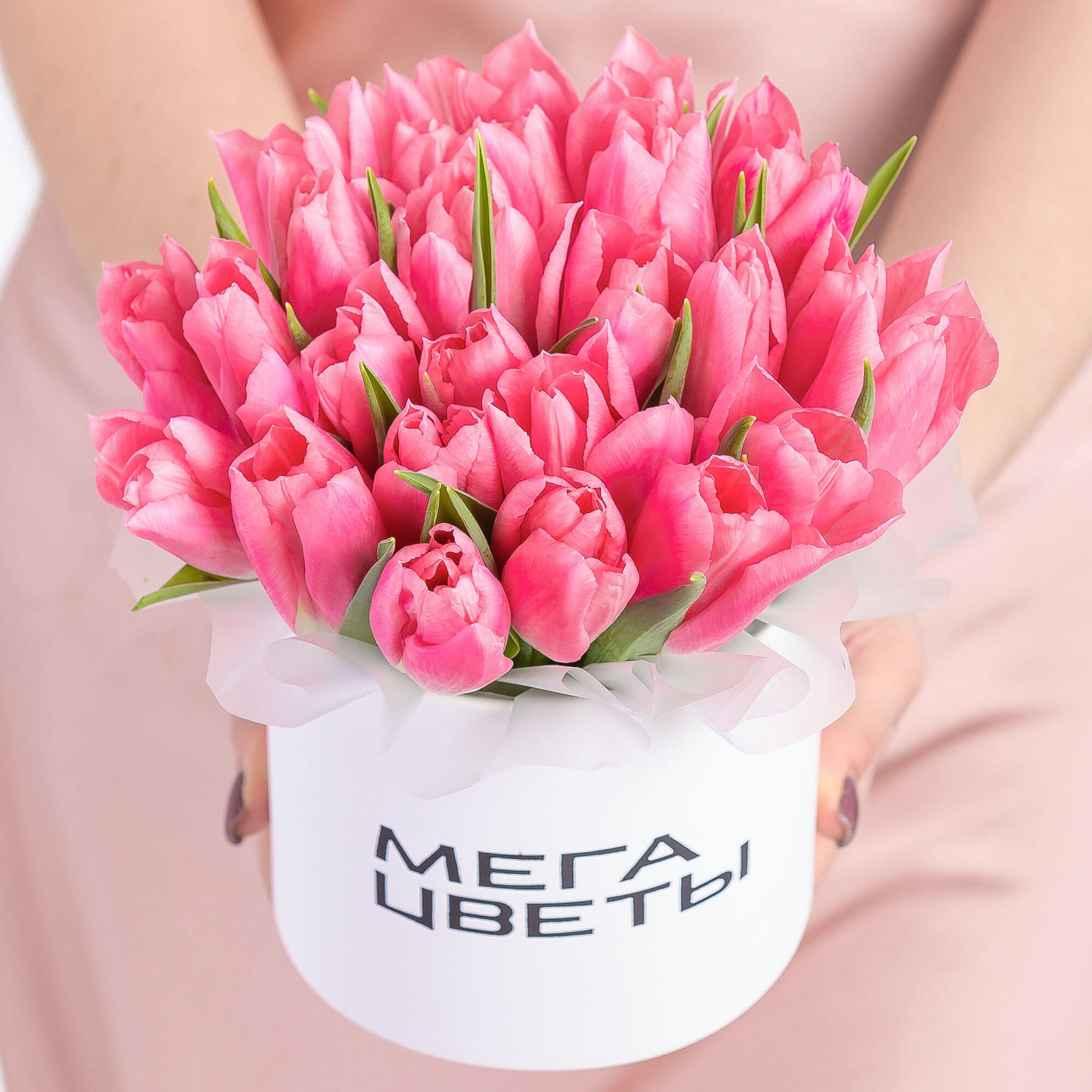 Букет Мегацвет24 "Розовые Тюльпаны", 25 шт, в шляпной коробке