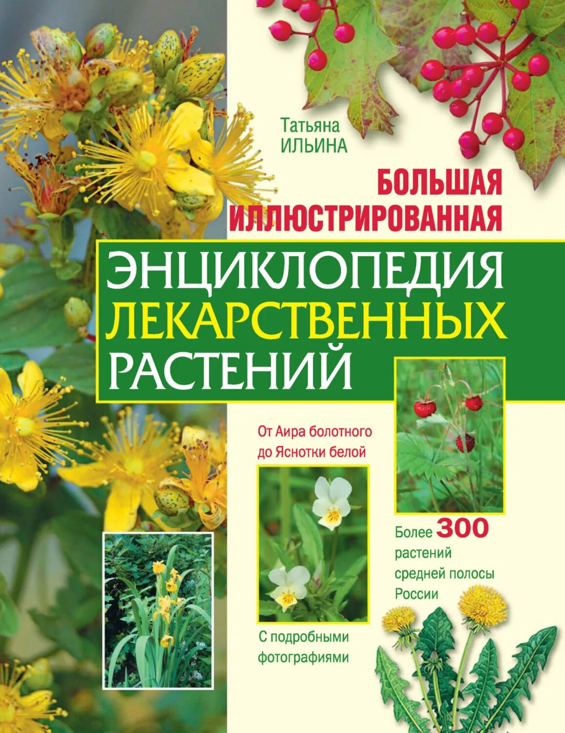 Большая иллюстрированная энциклопедия лекарственных растений [Цифровая книга]