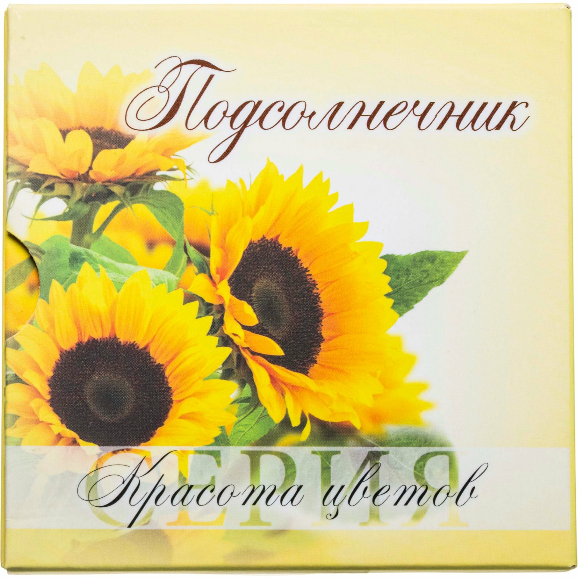 Беларусь 10 рублей 2013 Proof "Красота цветов - Подсолнечник" в буклете с сертификатом, Серебро 925