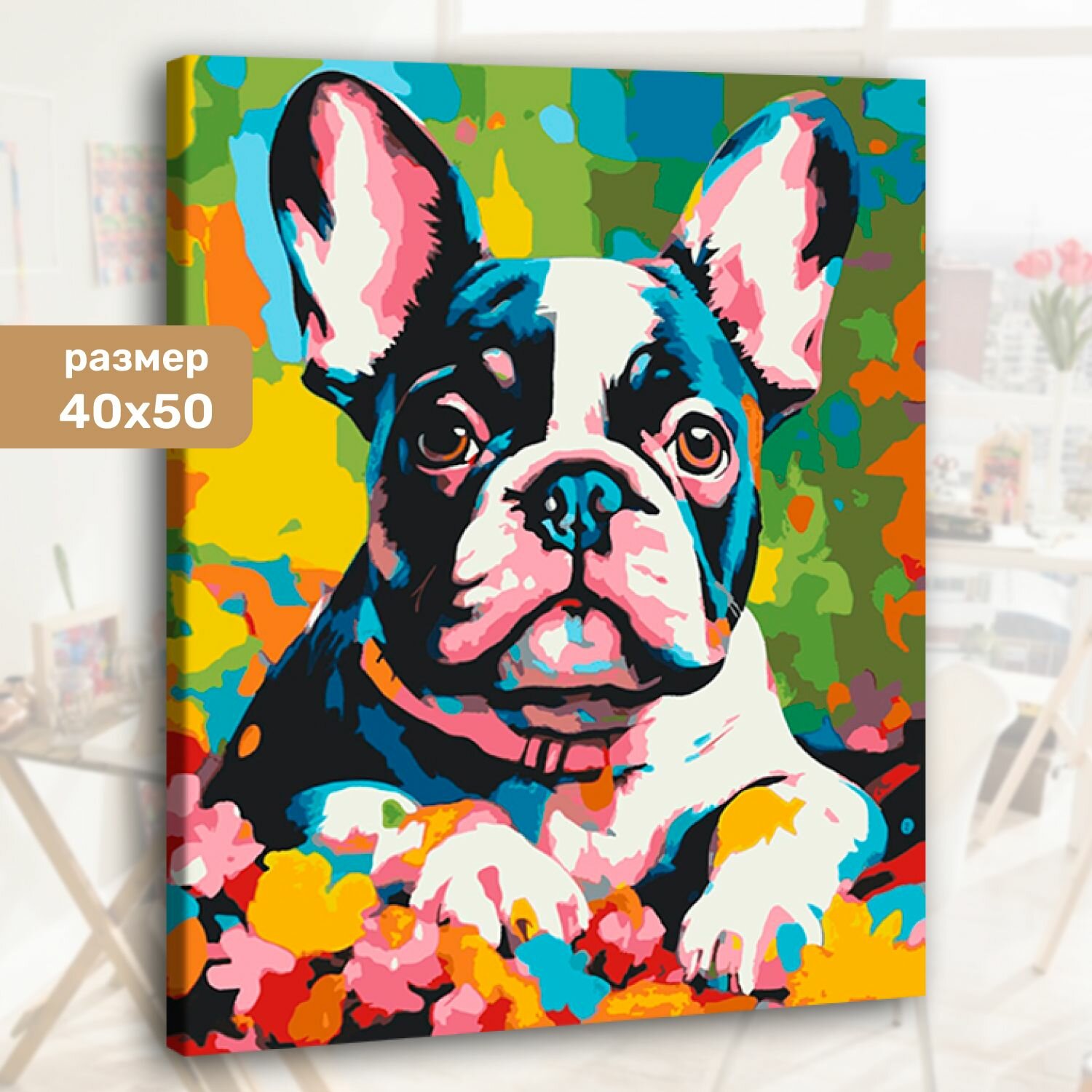 Картина по номерам на холсте с подрамником 40х50, французский бульдог, белый с черным