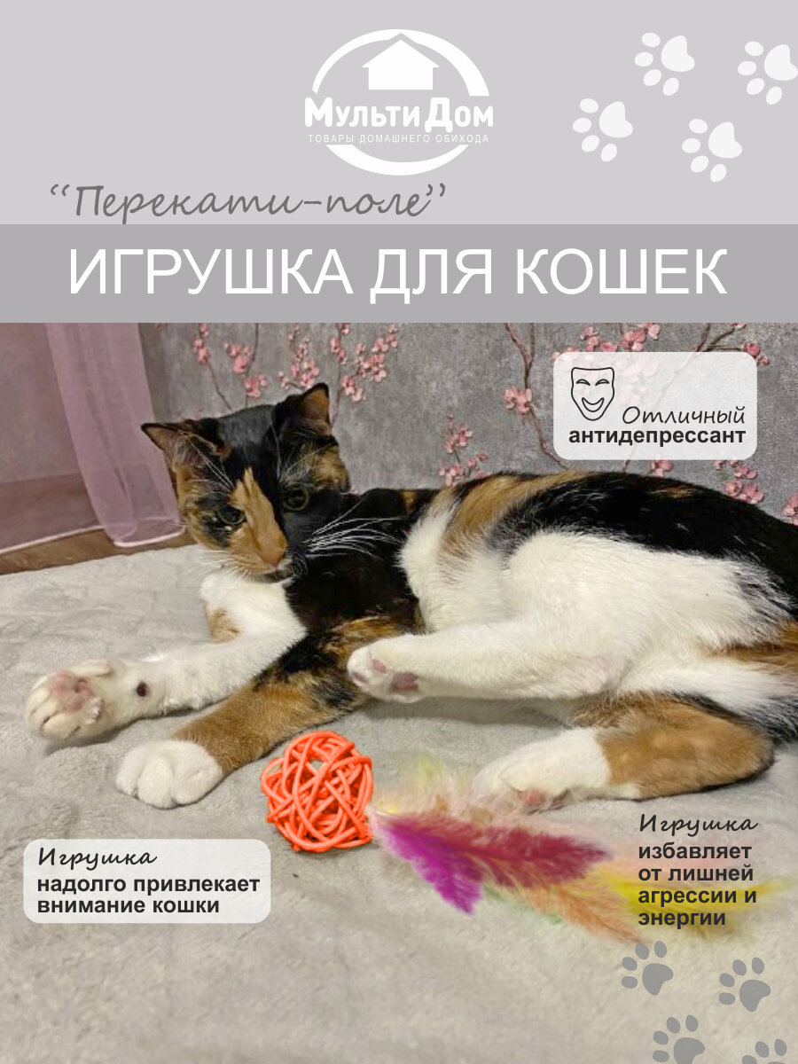Игрушка для кошек шарик диаметр 5 см с пёрышком для дома и улицы