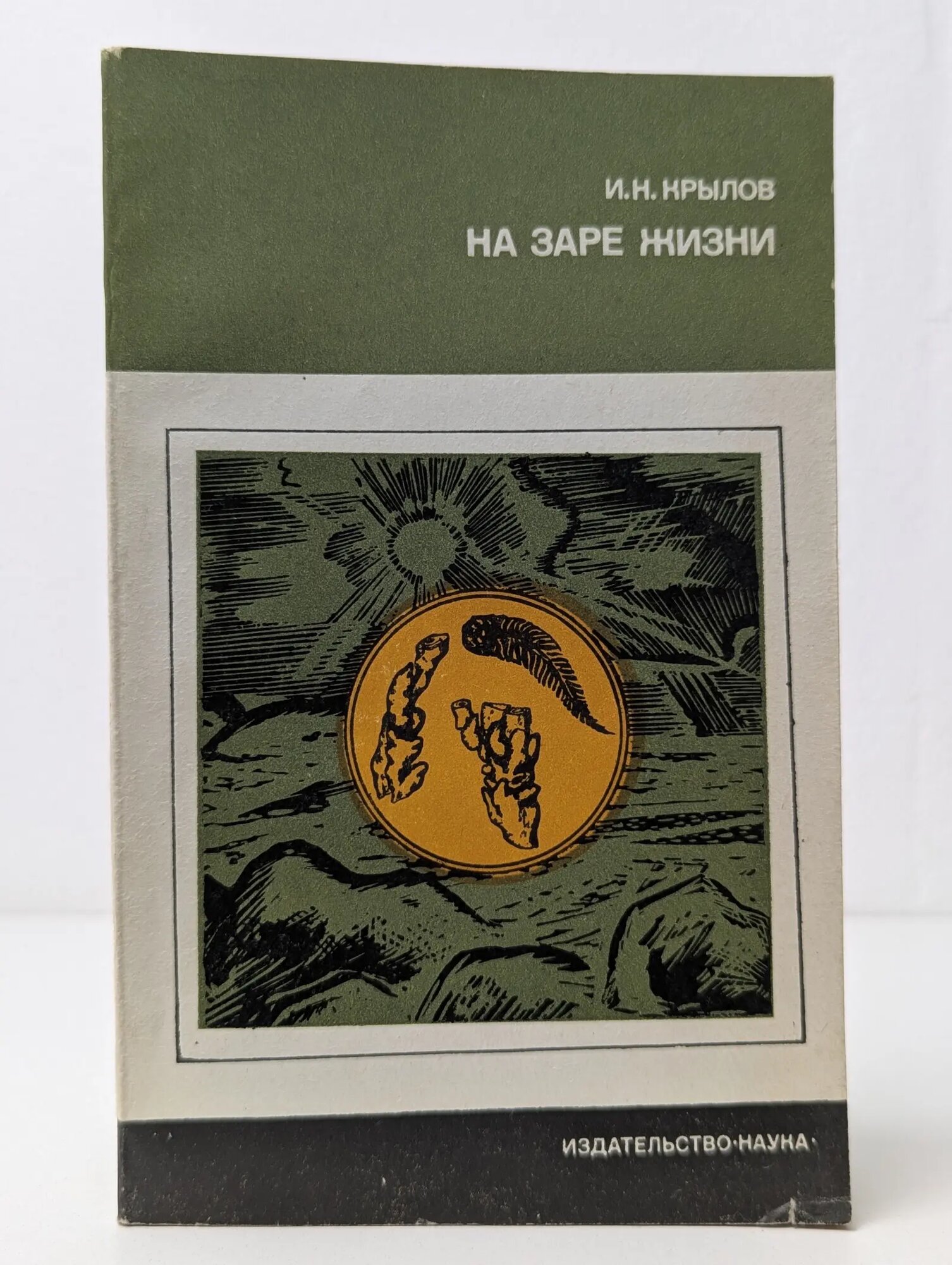 На заре жизни Крылов Игорь Николаевич 1972
