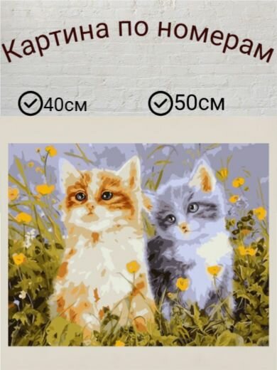 Картина по номерам: создайте шедевр своими руками! Kolibriki (размер 40х50 см)