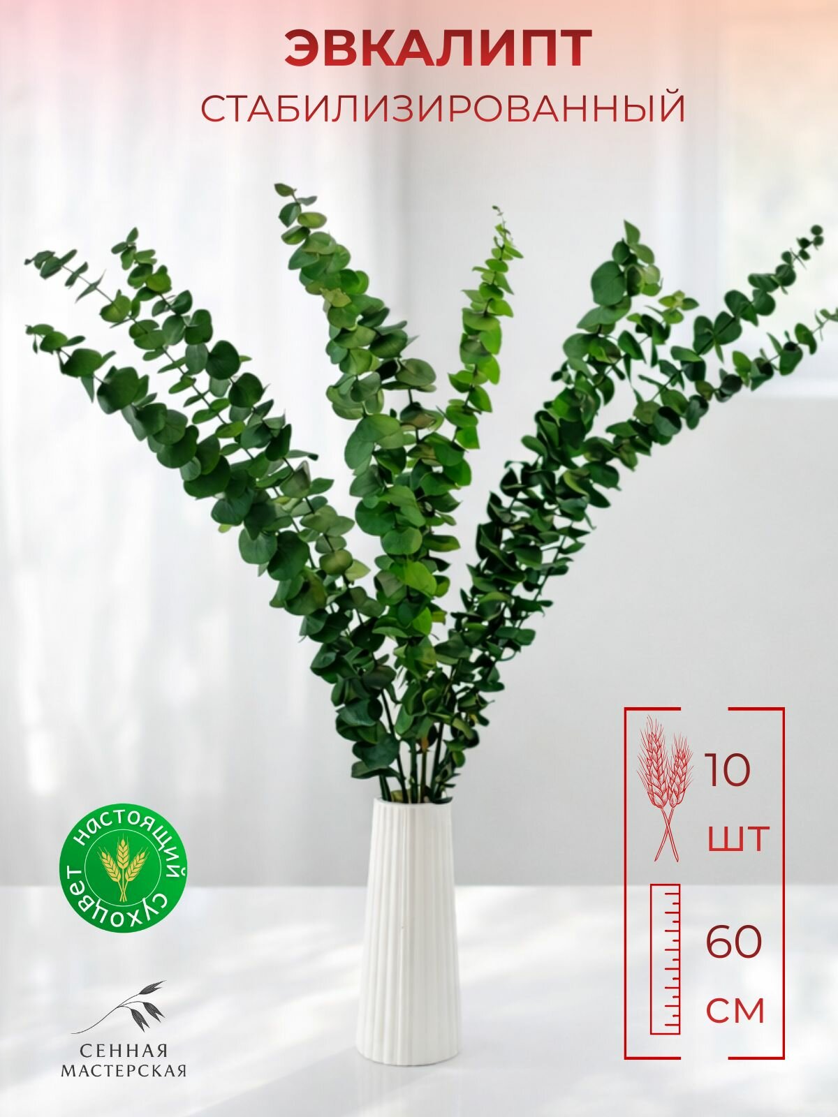 Стабилизированные цветы, эвкалипт стабилизированный, Бэби Блю зеленый. Сухоцветы для декора. 10 шт