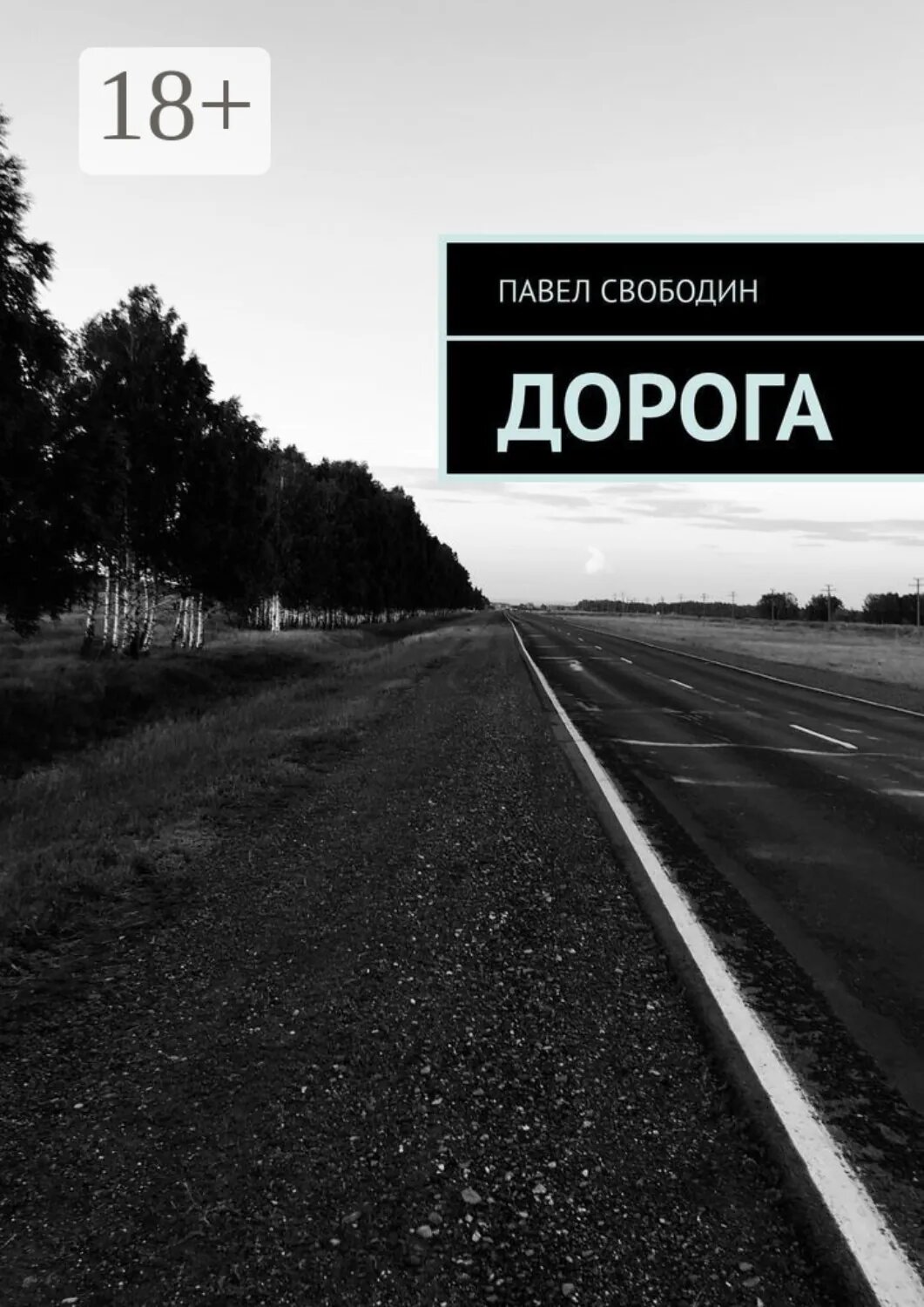 Дорога [Цифровая книга]