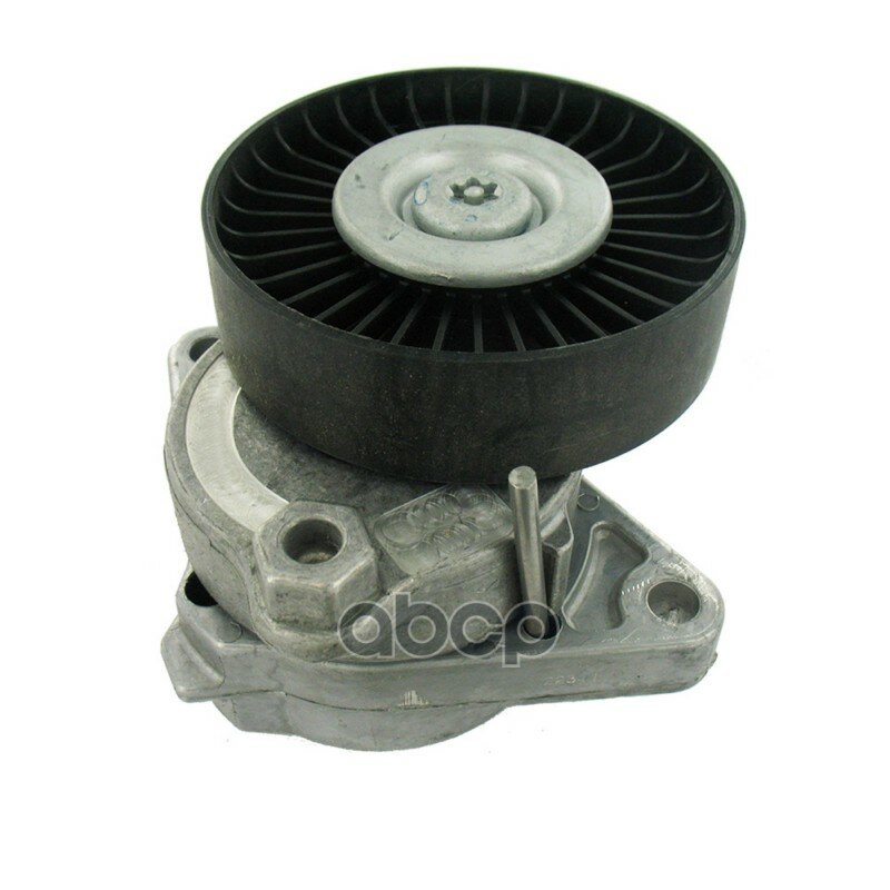 Натяжитель ремня Mercedes C, E, G, M, S-Class, CLK, CLS, SL, SLK, Viano, Vito(W202,203,210,211,463,163,164,220,639, R129,170, C215,208,20.