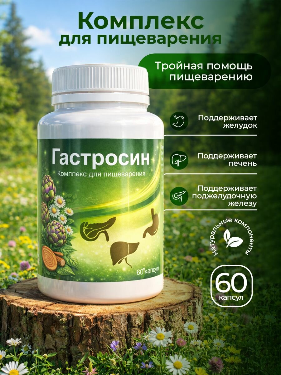 Пищевая добавка Гастросин, тройная помощь пищеварению, для улучшения работы ЖКТ, 60 капсул