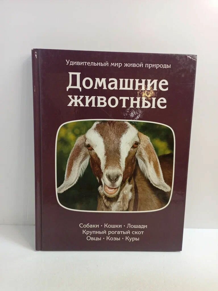 Домашние животные