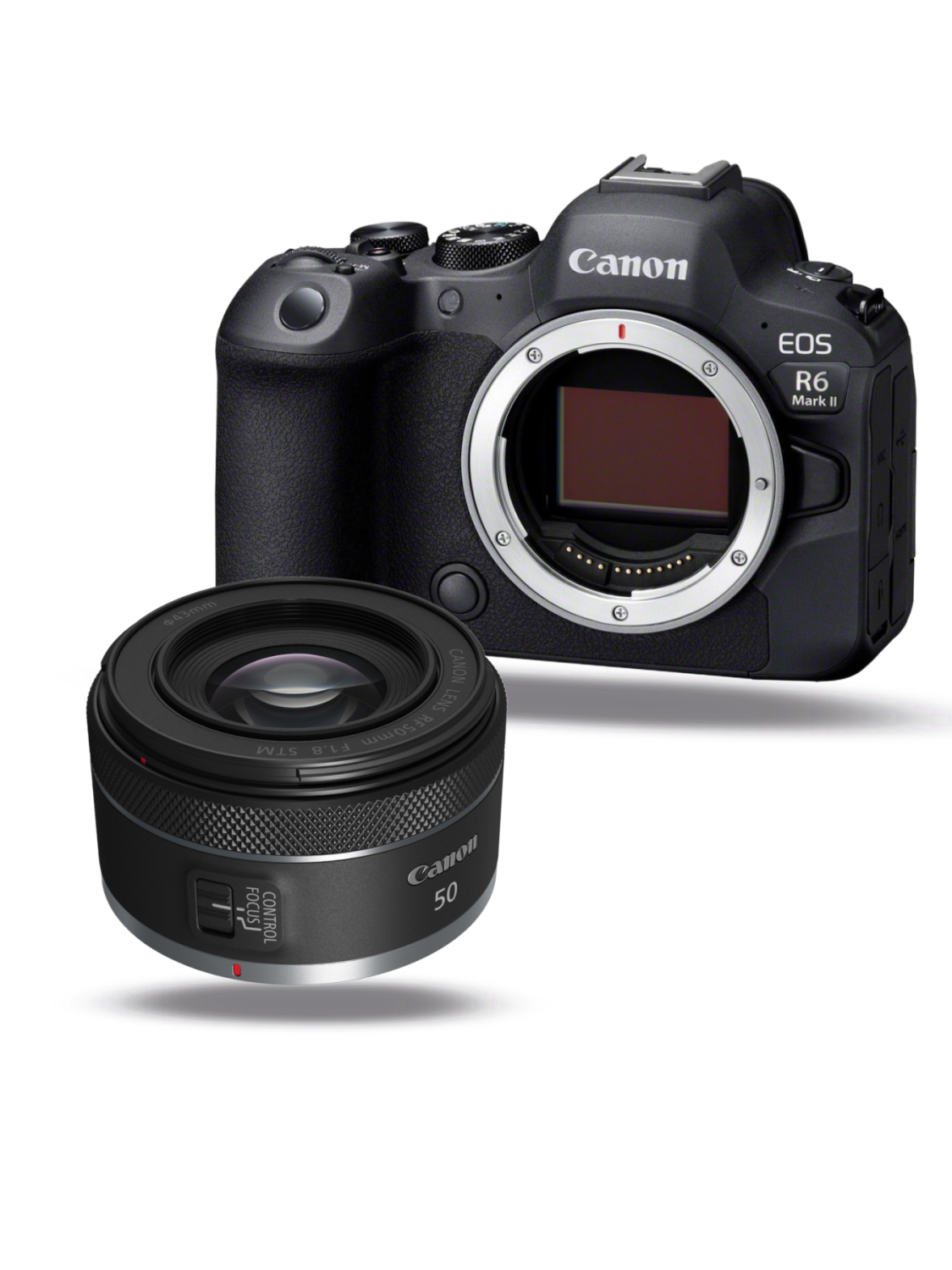 Беззеркальный фотоаппарат Canon EOS R6 Mark II kit 50mm f/1.8 STM