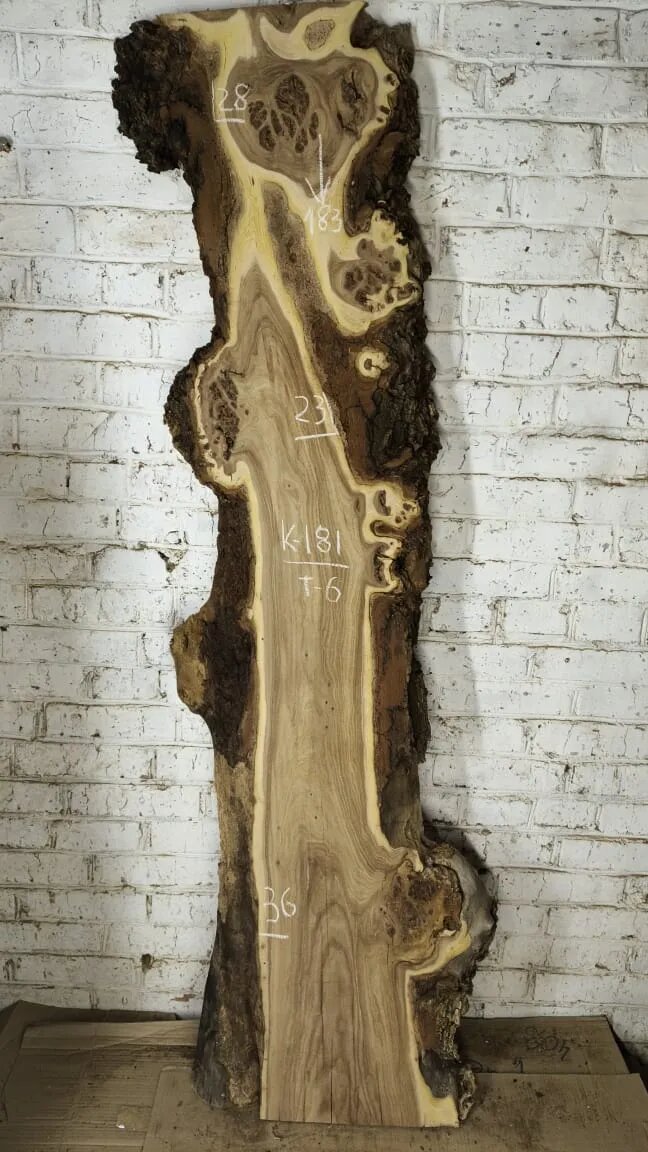 Слэб дерева Карагач К181, выровнен в плоскости, влажность 8-10%