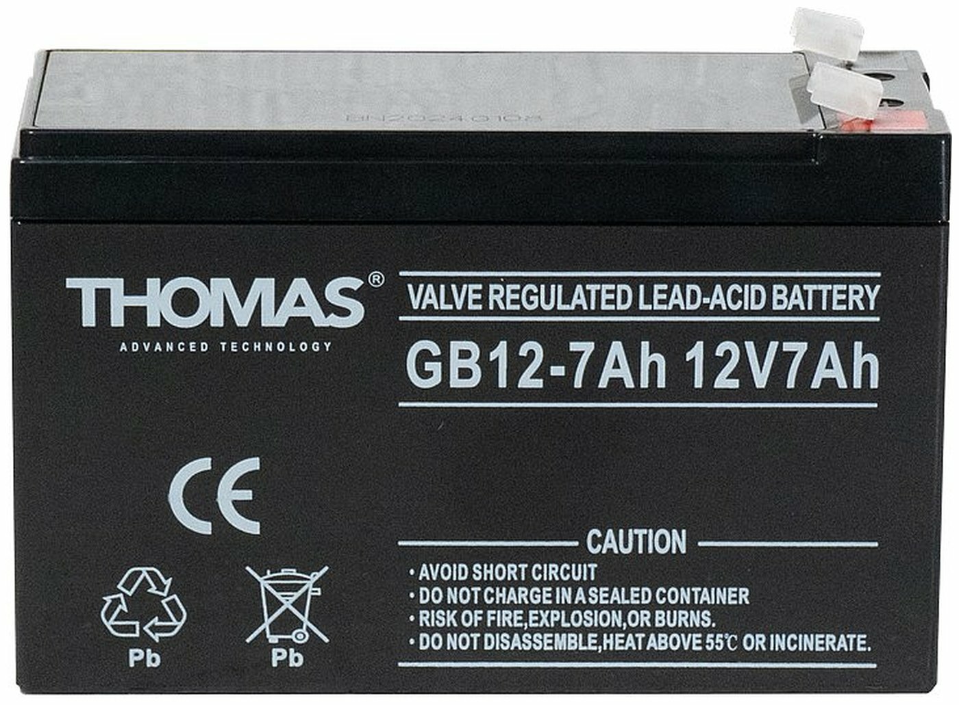 Аккумуляторная батарея Thomas GB12-7 12V7Ah