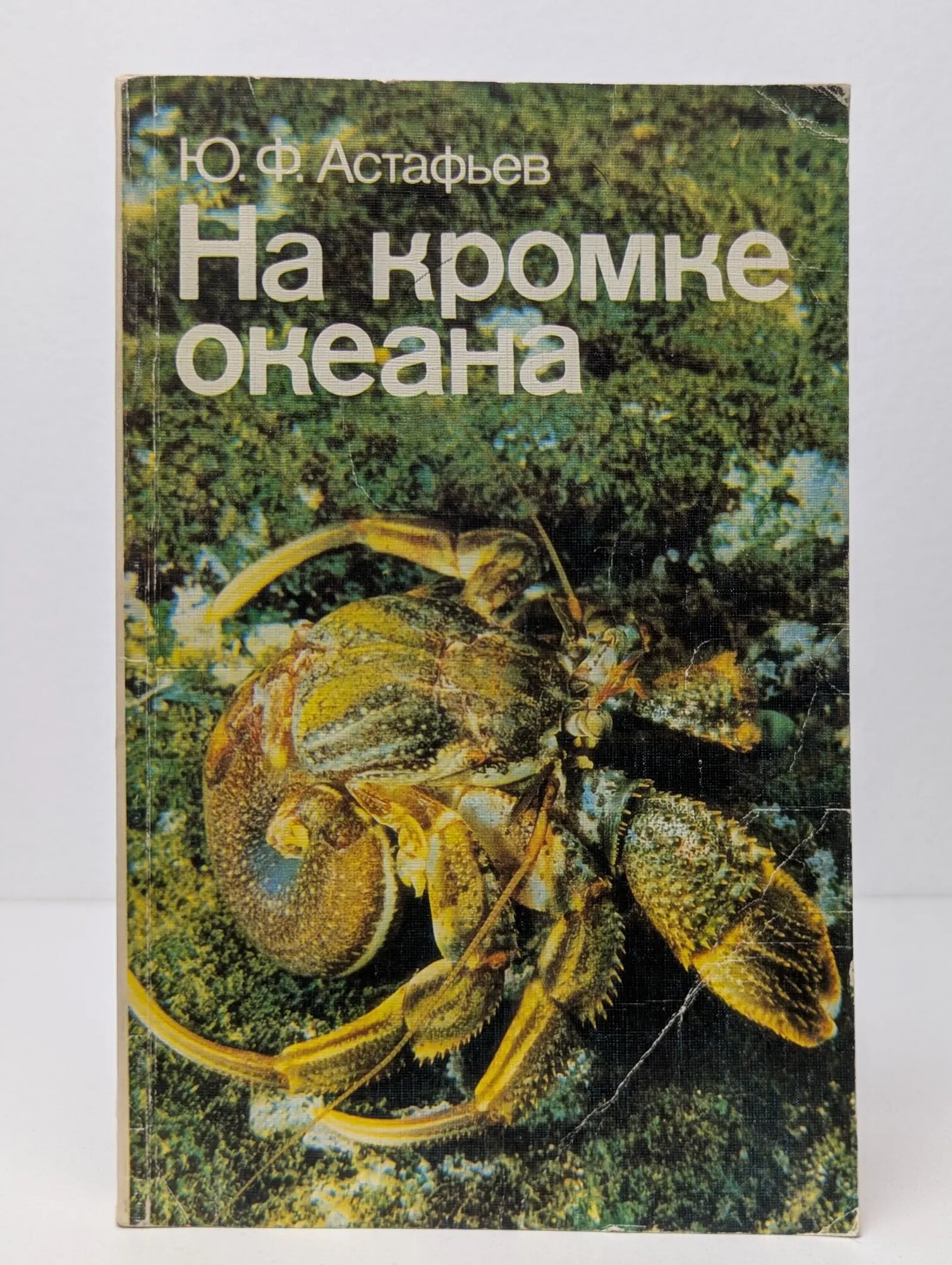 На кромке океана Астафьев Юрий Федорович 1986