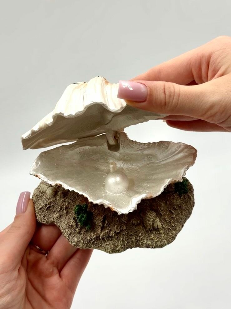 Декор для аквариума, грот для аквариума Морская раковина 13*10*7см