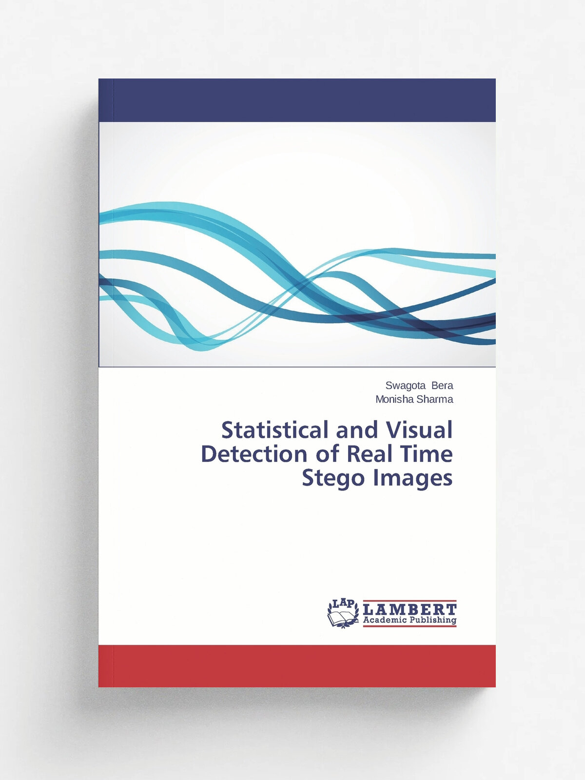 Statistical and Visual Detection of Real Time Stego Images