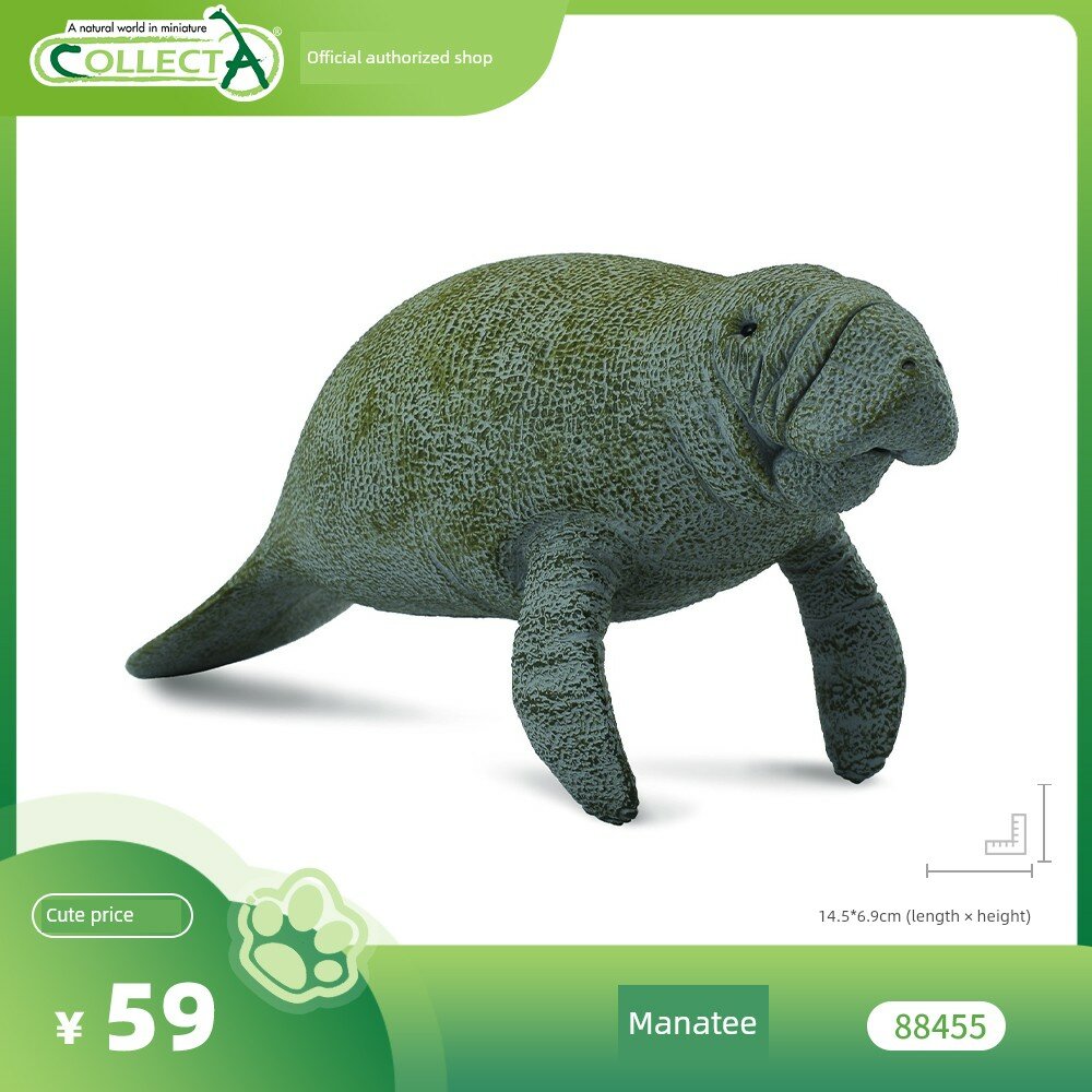 Официальная модель животного CollectA для раннего обучения Морской теленок