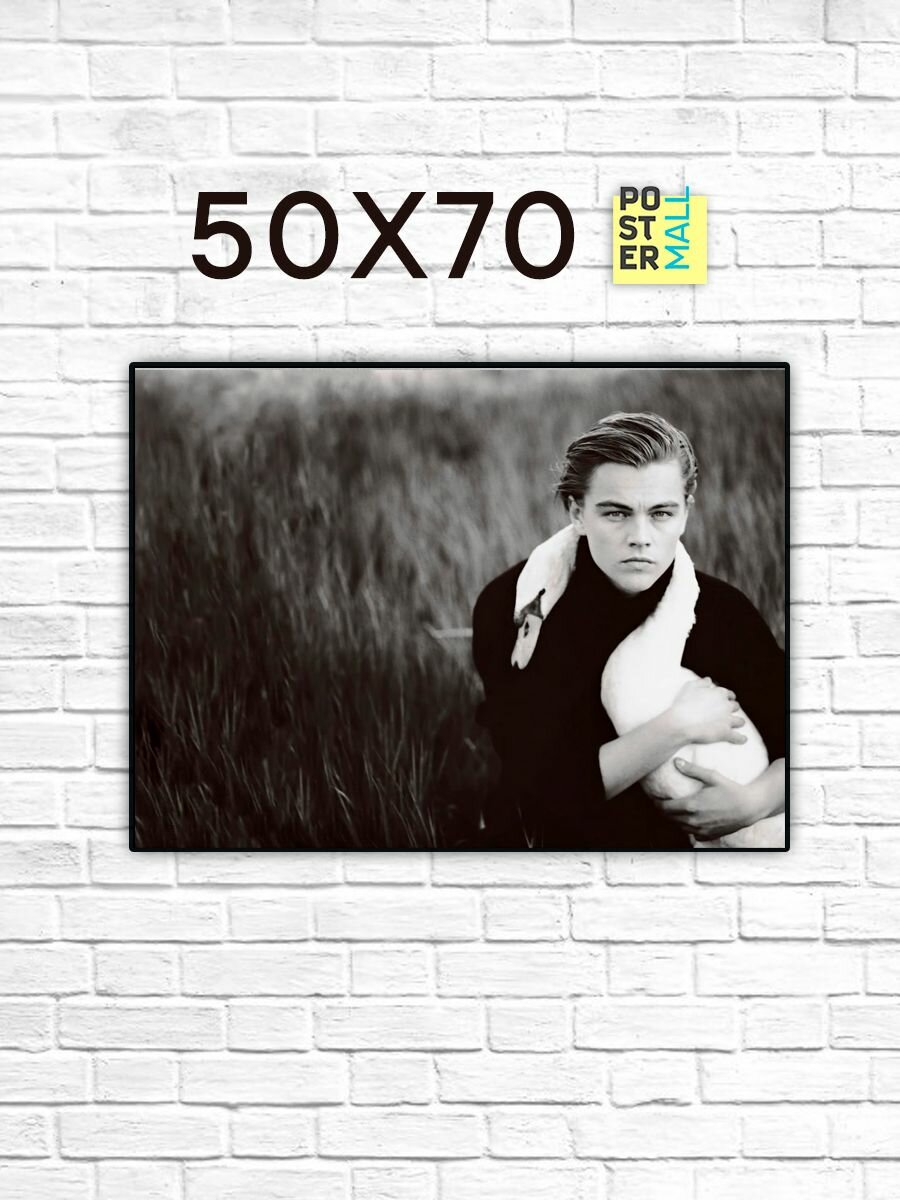 Постер для интерьера на стену (50х70 см). Леонардо Ди Каприо