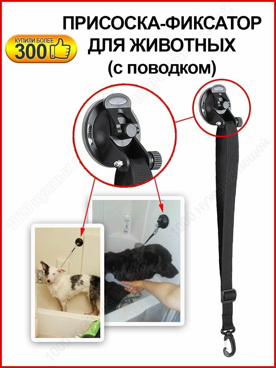Присоска фиксатор для купания и груминга кошек и собак (с поводком)