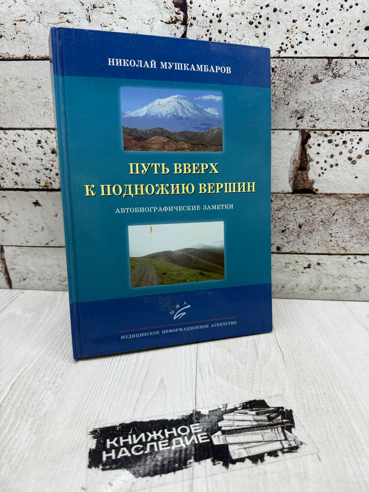 Мушкамбаров Н. Н. Путь вверх к подножию вершин Медицинское информационное агентство 2013г