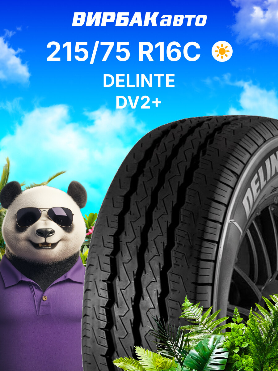 Летние шины DELINTE DV2+ 215/75 R16C 112/109R