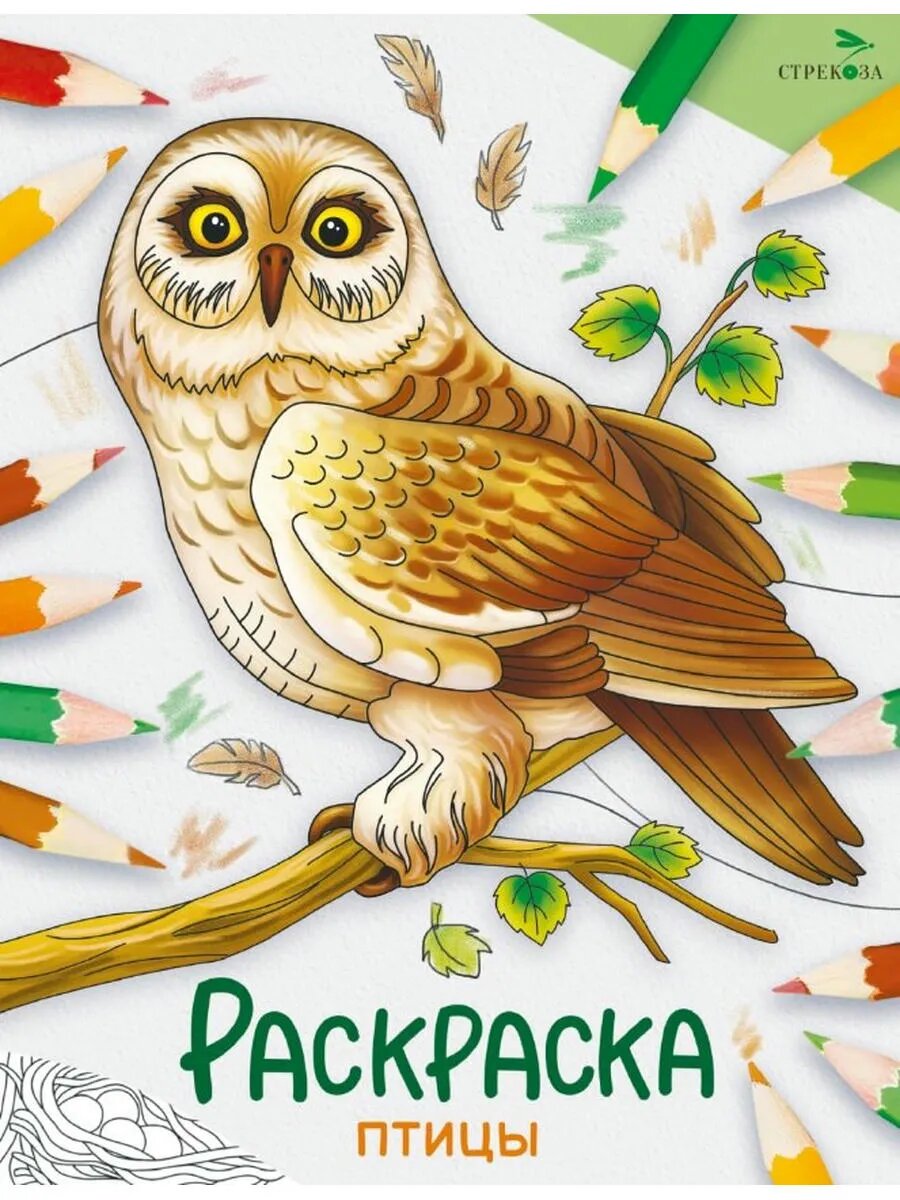 Птицы. Окружающий мир. Раскраска