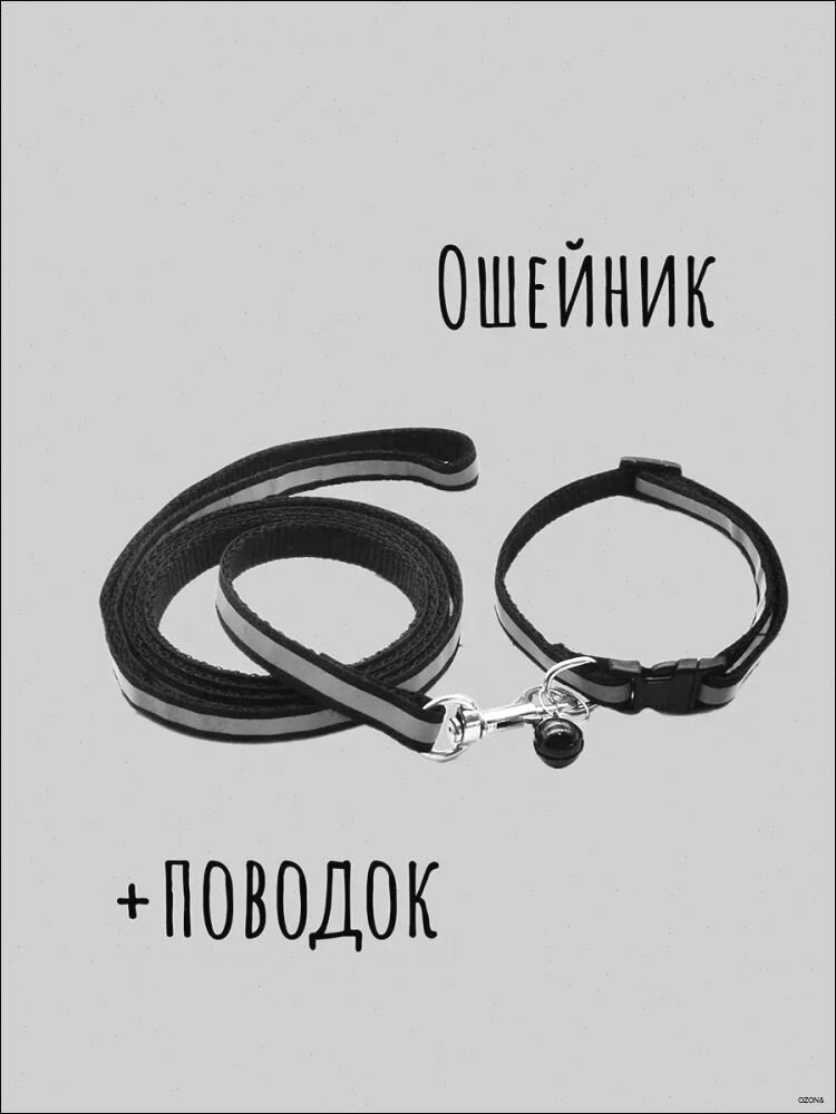 Ошейник с поводком для животных