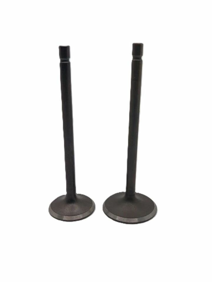 Клапаны (пара, в сборе) 4T CG200 Formula6 Baltmotors, Honling, IRBIS, Lifan, Motoland, Omaks Motors, Racer.