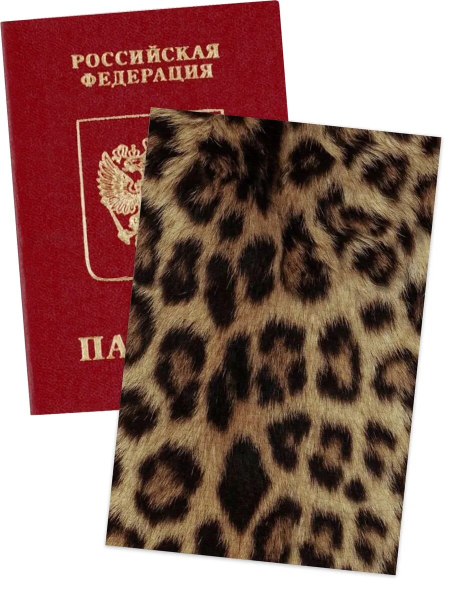 Обложка для паспорта