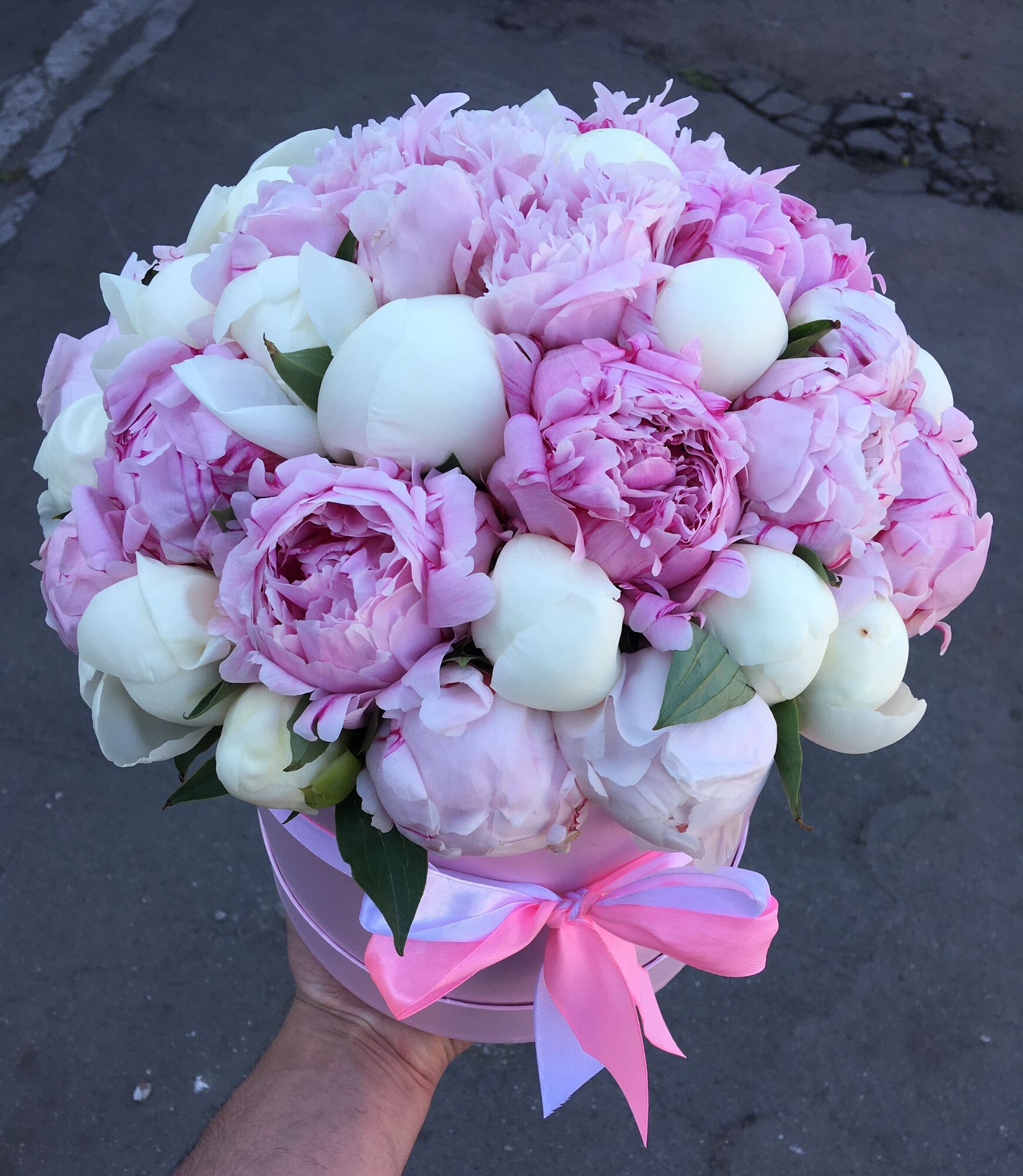 29 пионов / 29 розовых и белых пионов в розовой шляпной коробке