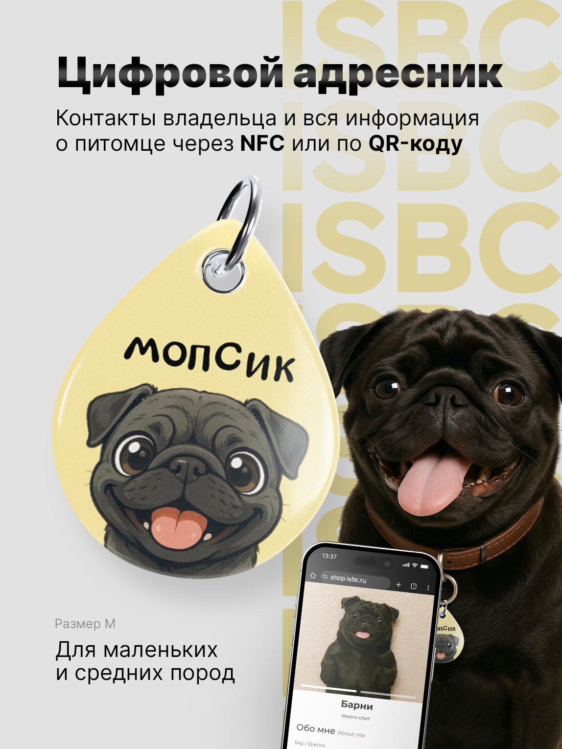 Цифровой Адресник для собак от ISBC с NFC и QR-кодом, Черный мопс