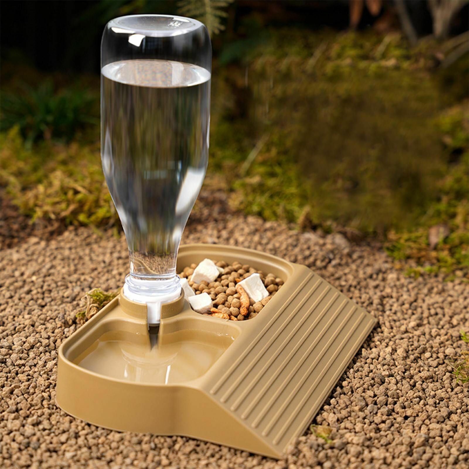 Чаша для воды черепахи, блюдо с рептилийной водой