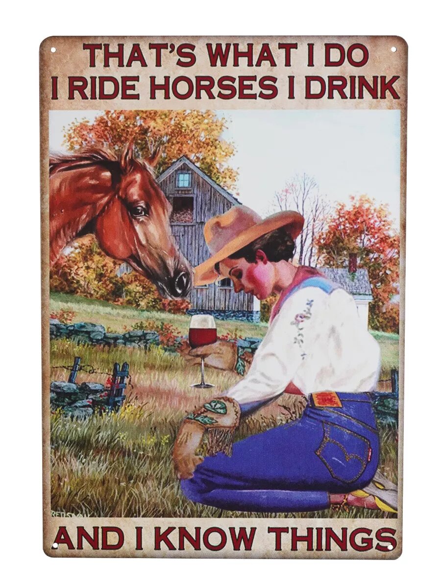 Sweethorse / Винтажная металлическая Картина, размер 20х30см