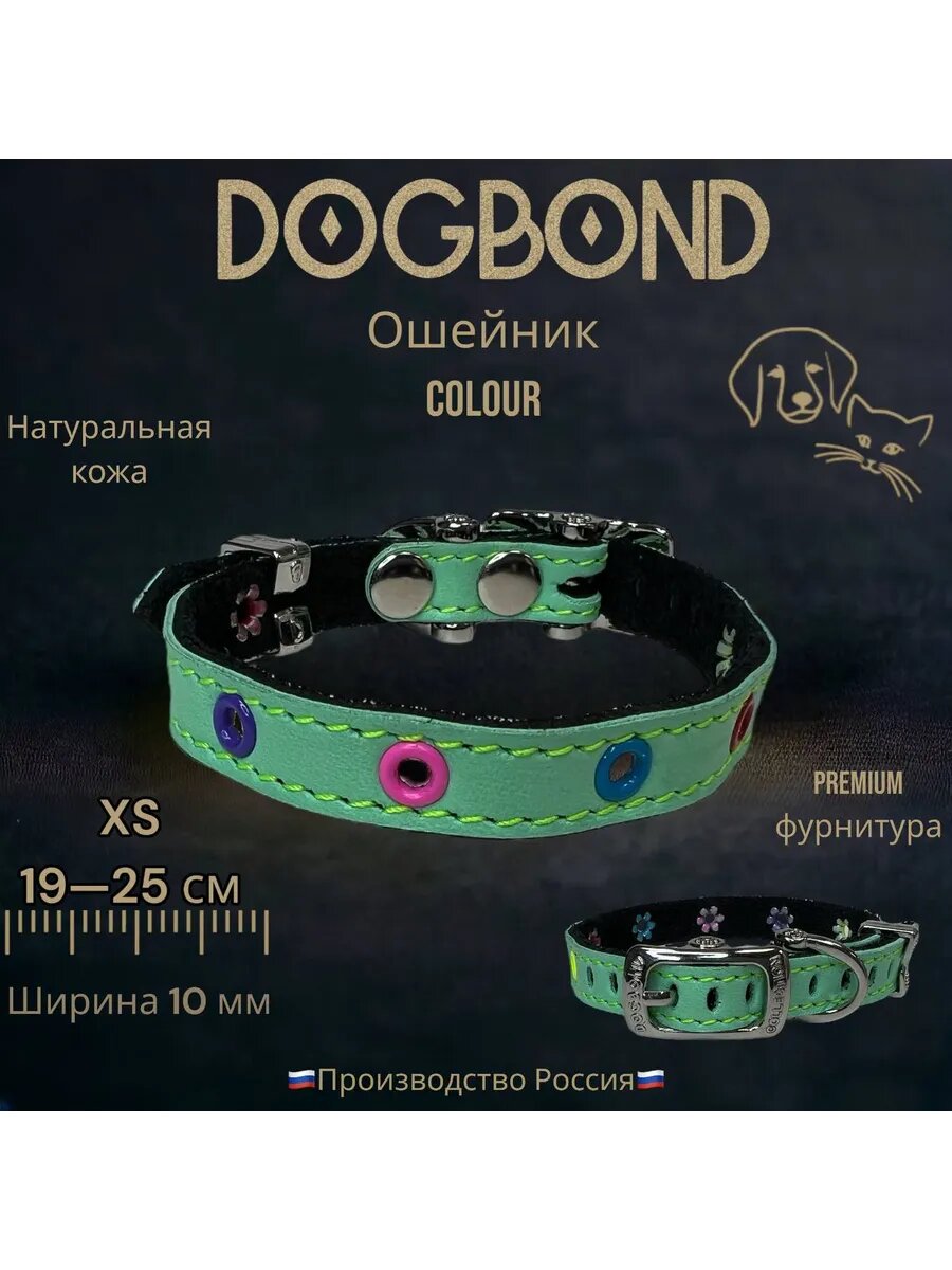 Ошейник Dogbond Colour кожаный для собак малых пород и кошек