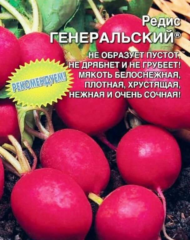 Коллекционные семена редиса Генеральский