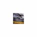 Диск GILMOUR, DAVID - RATTLE THAT. -BLU-SPEC- (1 CD)