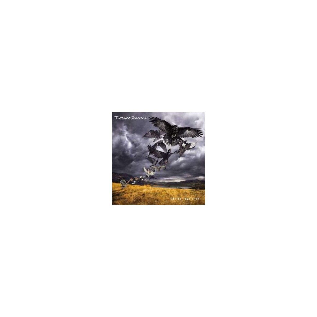 Диск GILMOUR, DAVID - RATTLE THAT. -BLU-SPEC- (1 CD)