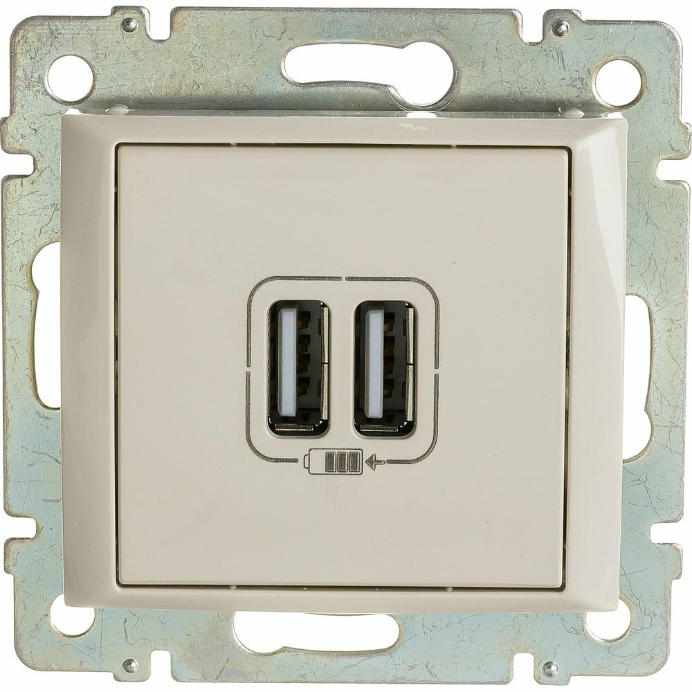 Зарядное устройство Legrand USB тип А / тип А Legrand Valena 3000мА 15Вт слоновая кость 774170