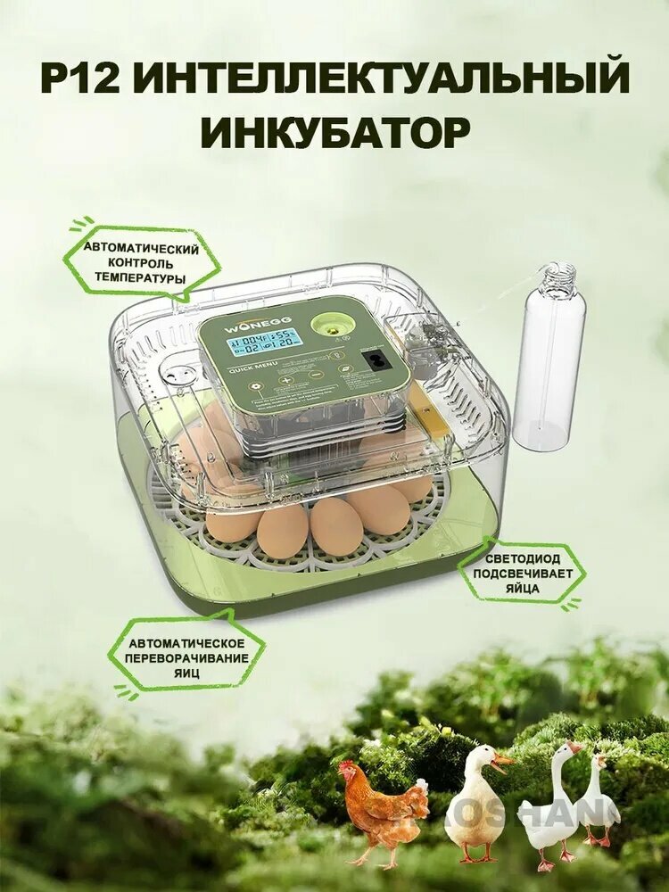 Автоматический инкубатор для яиц P12 с регулятором температуры, Автоматическое переворачивание яиц