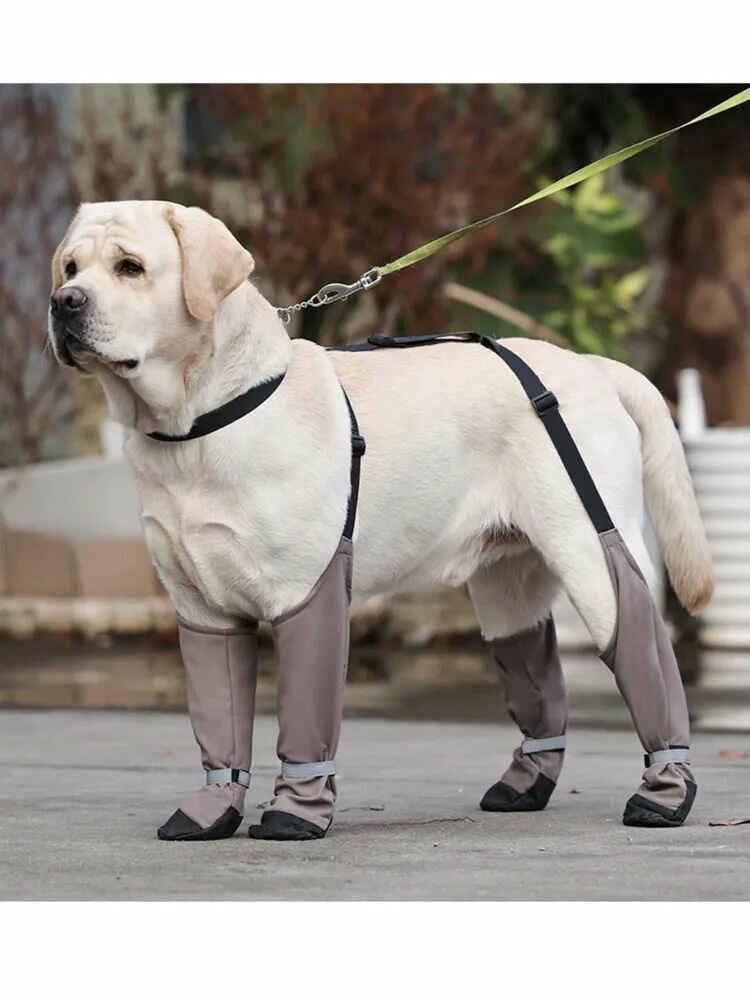 Сапожки для собак с подтяжками / размер XL Для лабрадор-ретриверов, -ретриверов и сибирских хасков