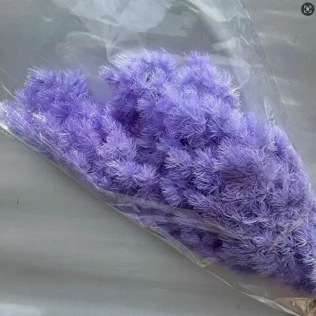 Стабилизированные цветы Аспарагус, Аспаргус, 60 см, 85 гр, 1 шт