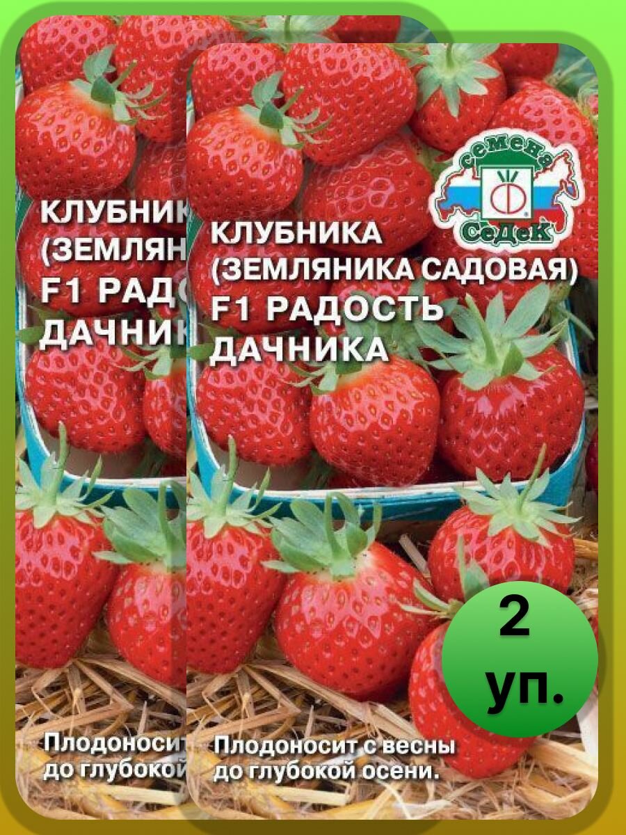 Семена клубники " СеДеК" радость дачника F1 плодоношение с весны до глубокой осени (2 упаковки)