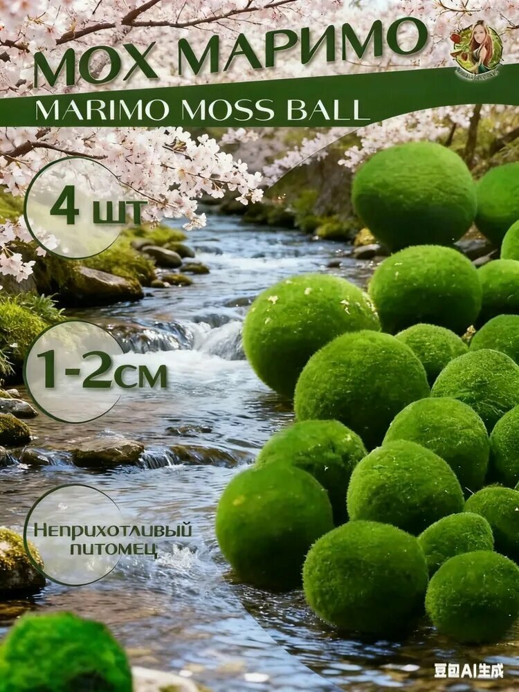 Японские водоросли / экосистемы HEIS / шарики Маримо4 шт.