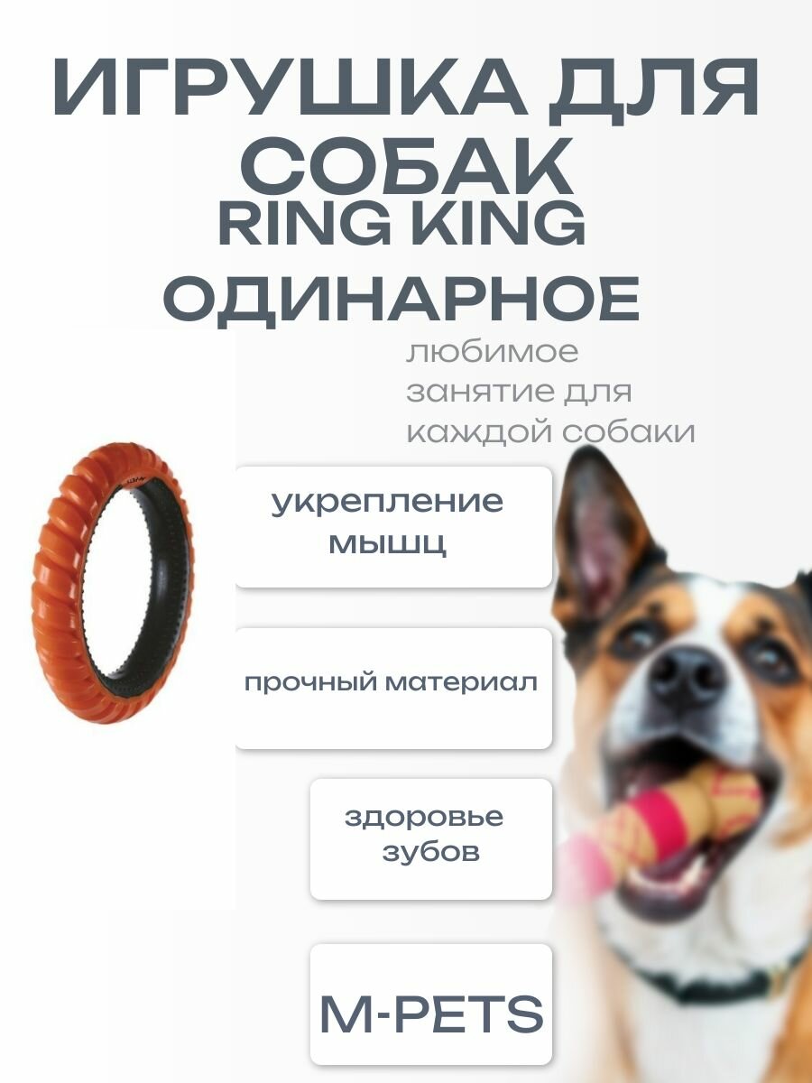 M-PETS Игрушка для собак кольцо RING KING одинарное 12,7см, цвет черный/оранжевый