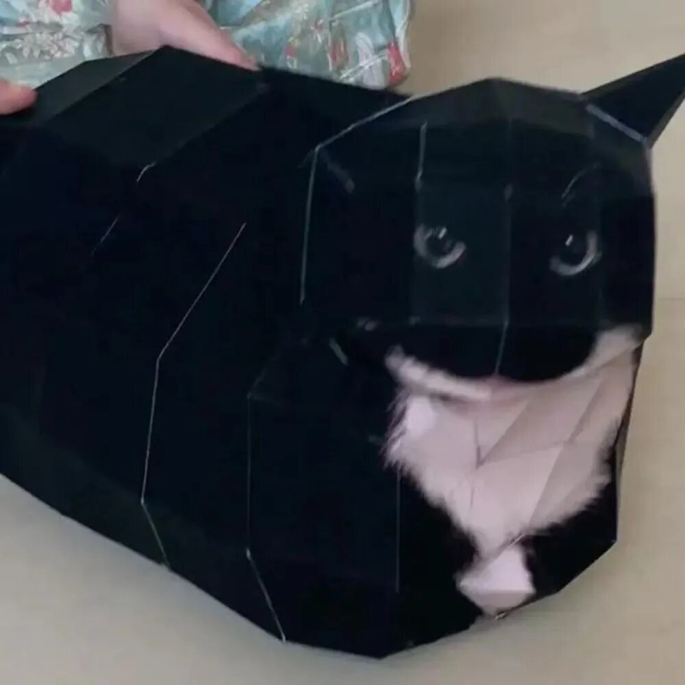Бумажная модель кота Oiiao
