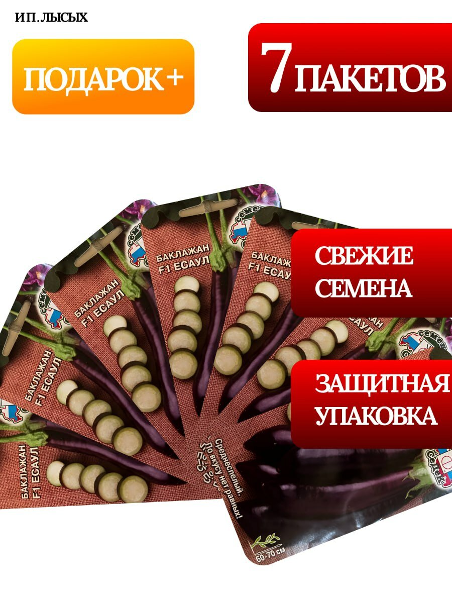 Семена Баклажан "Есаул"